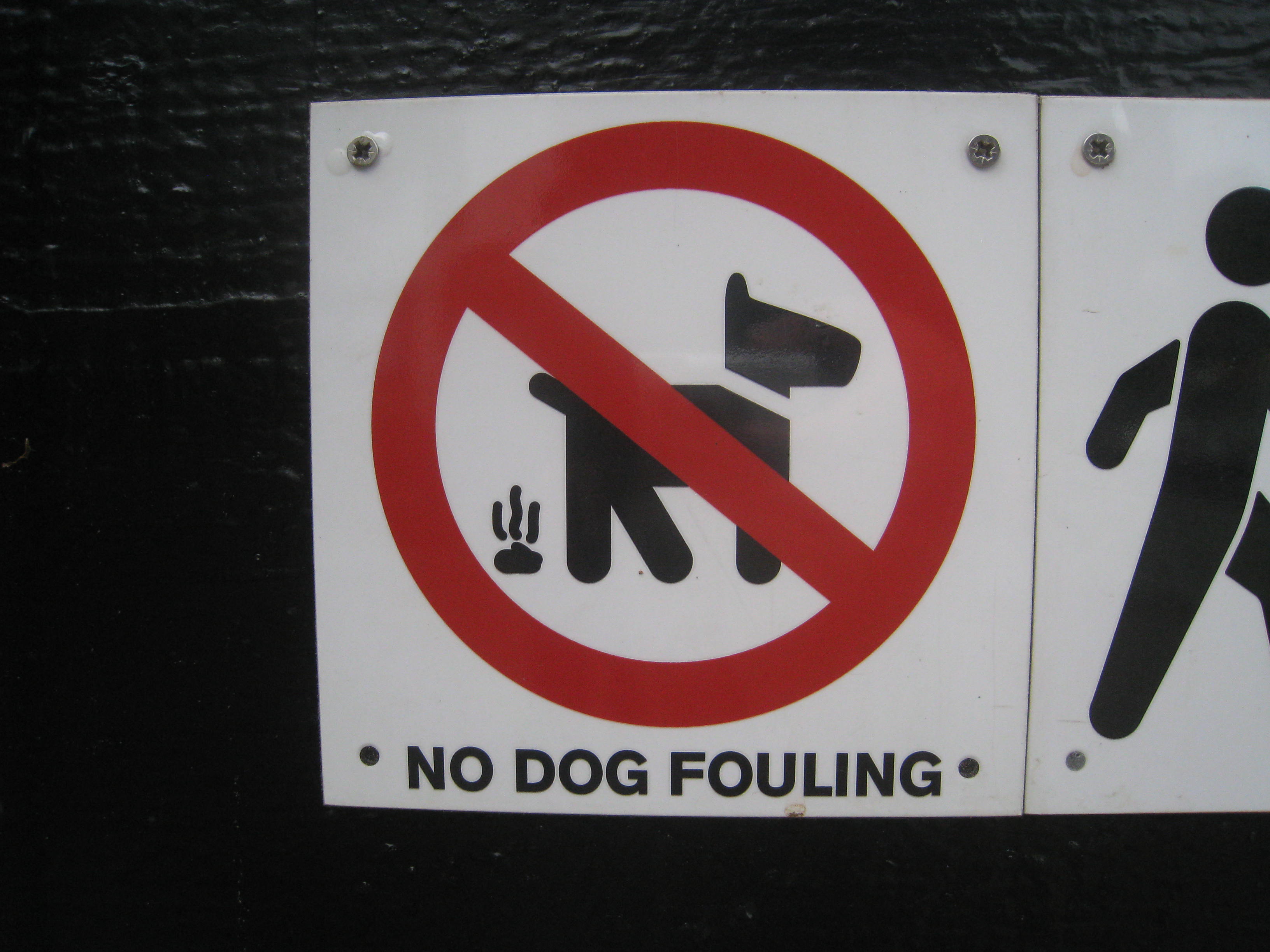 No Dog Fouling | grand tour of the middling sort