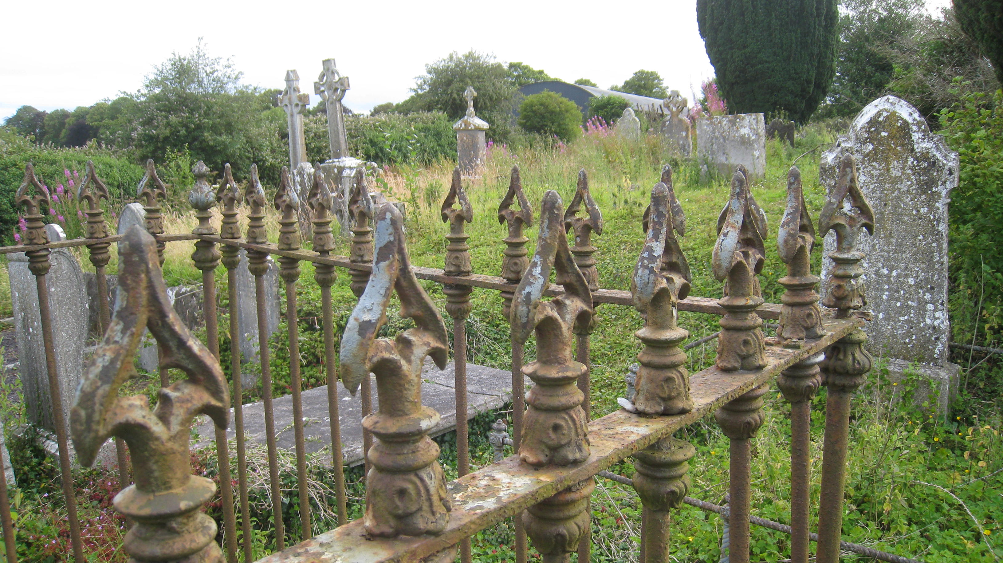 6717_Detail of burial plot fence, Rathcore | grand tour of the middling ...